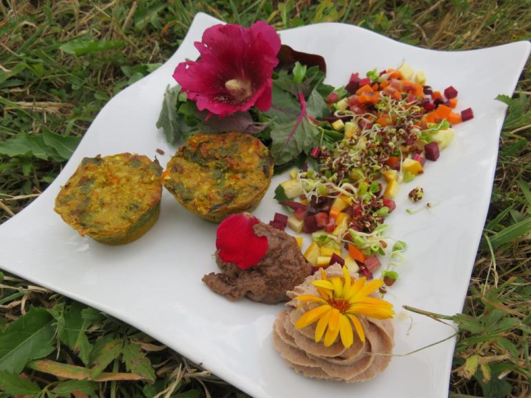 Atelier et formation de cuisine bio - Les Gourmandises Bio